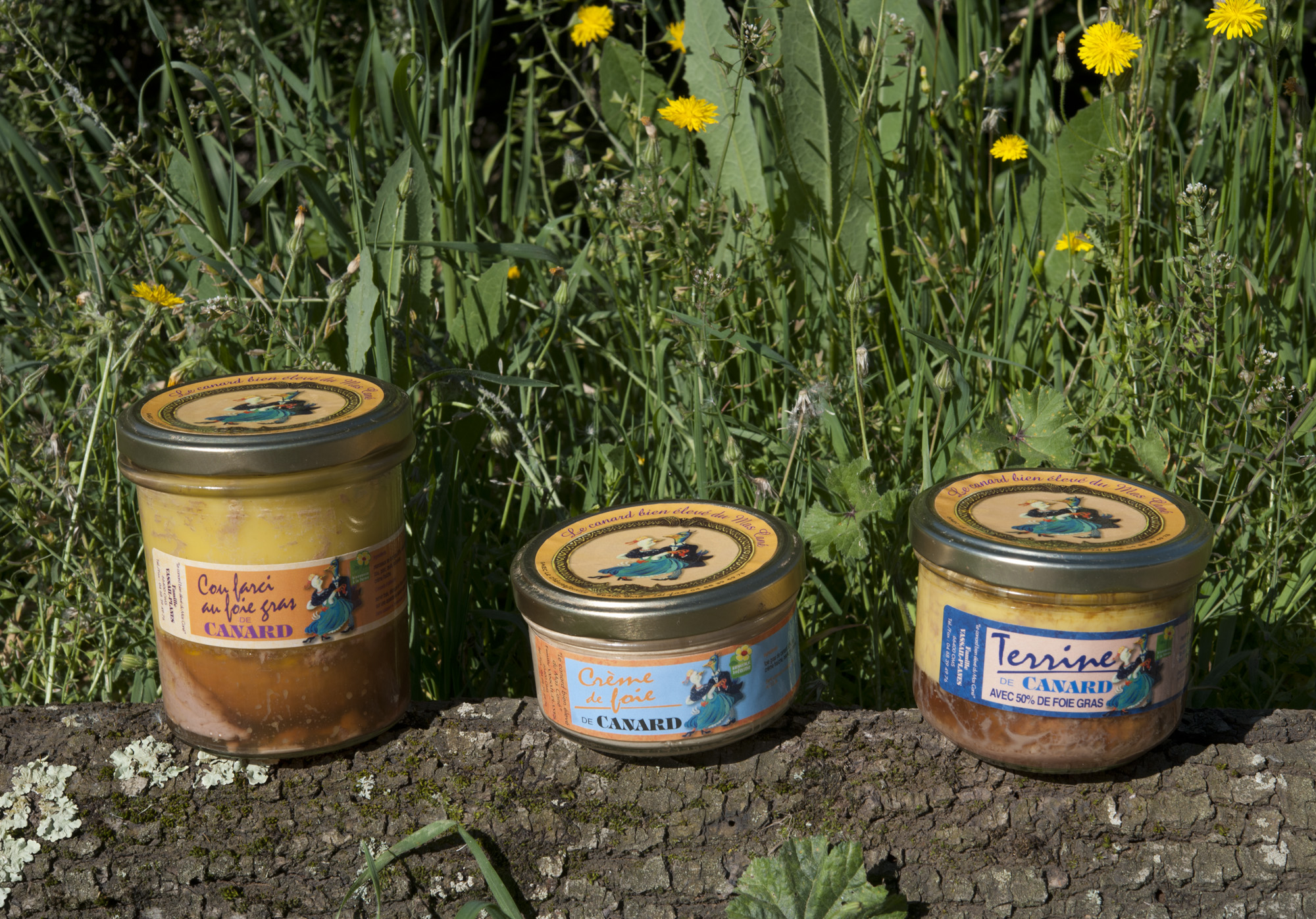 Nos produits : entièrement créés au Mas Cané – Le canard bien élevé du ...