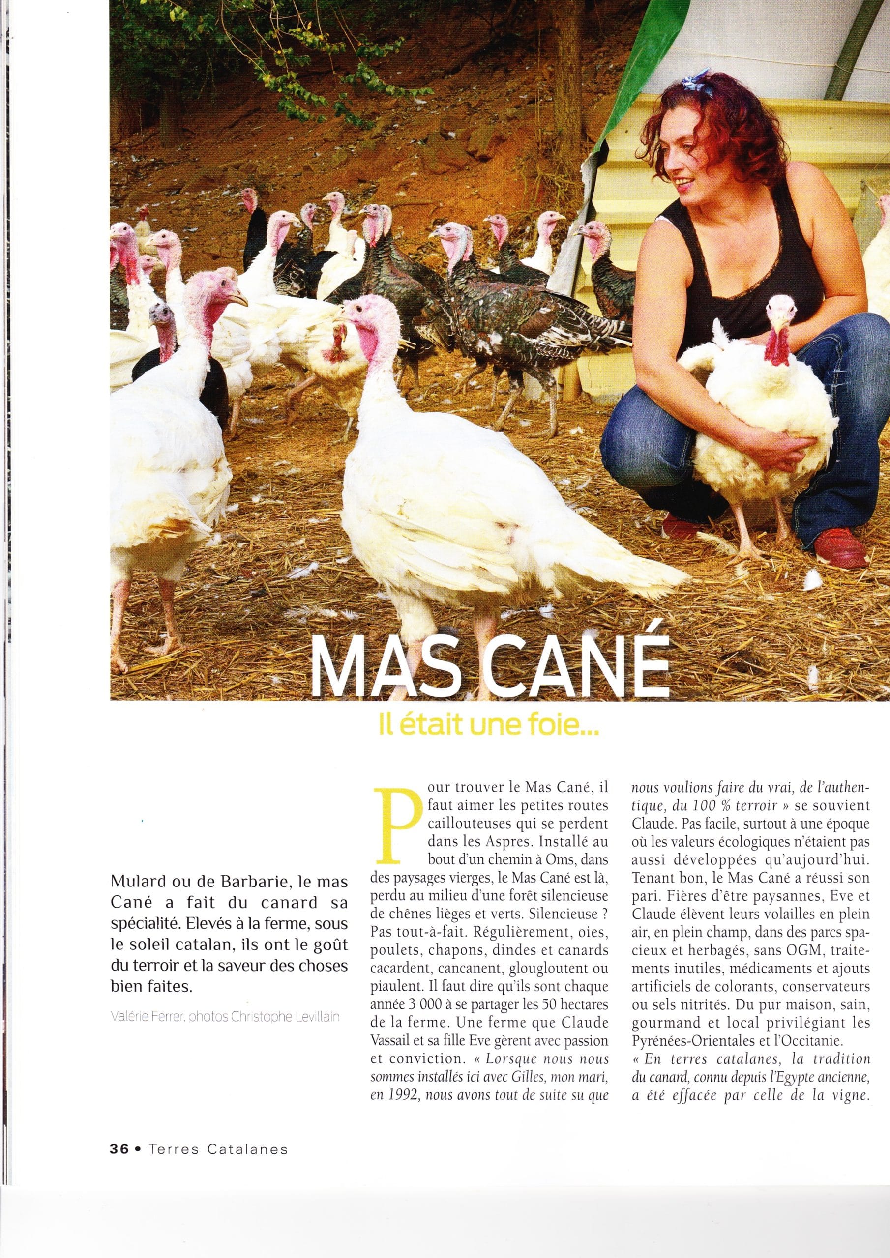 Le canard bien élevé du Mas Cané – Elevage en plein air de canards gras ...