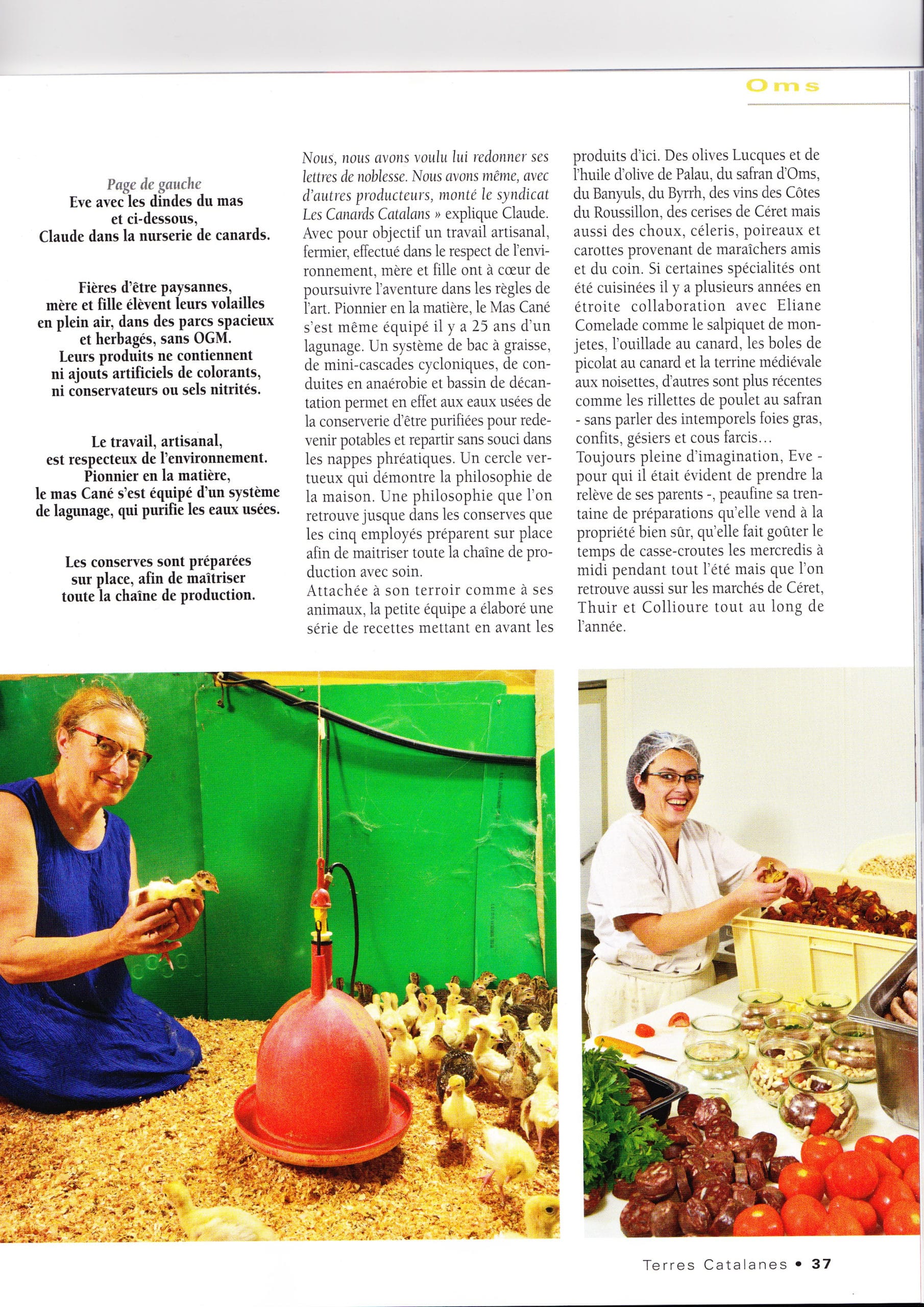 Notre histoire – Le canard bien élevé du Mas Cané